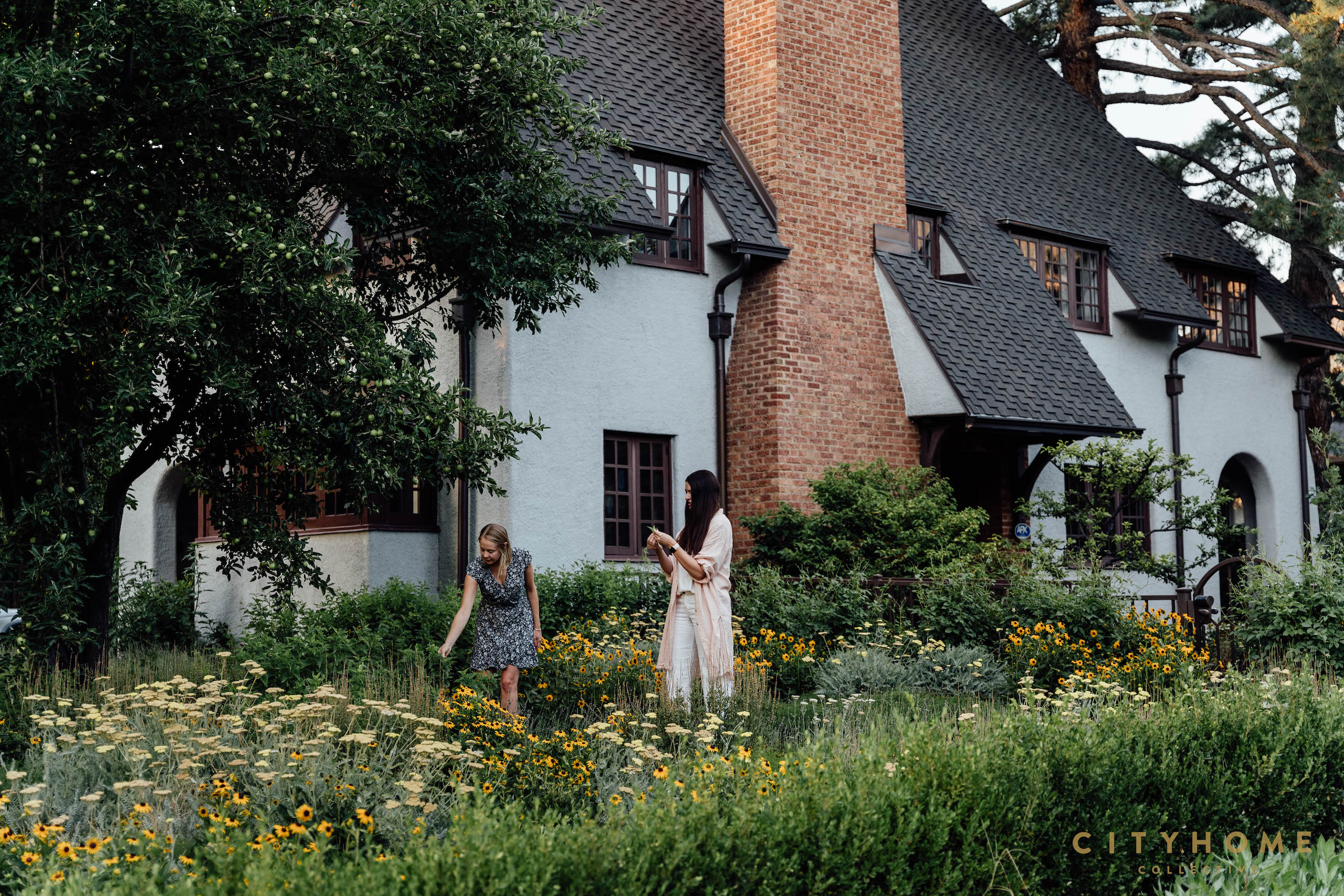 Io LandArch | Healy House