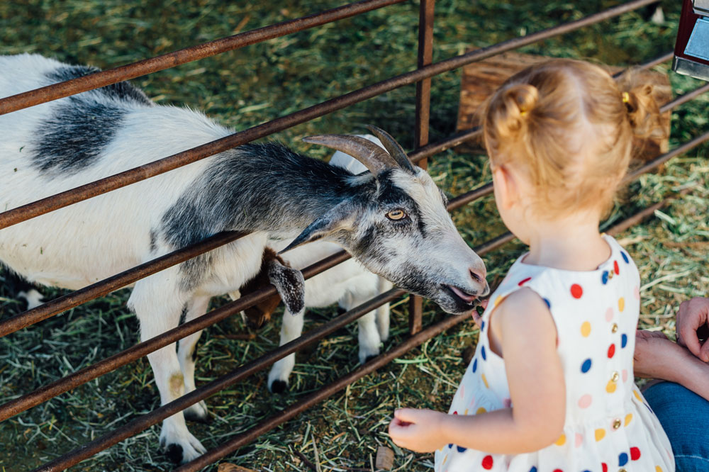 Petersen Family Farm