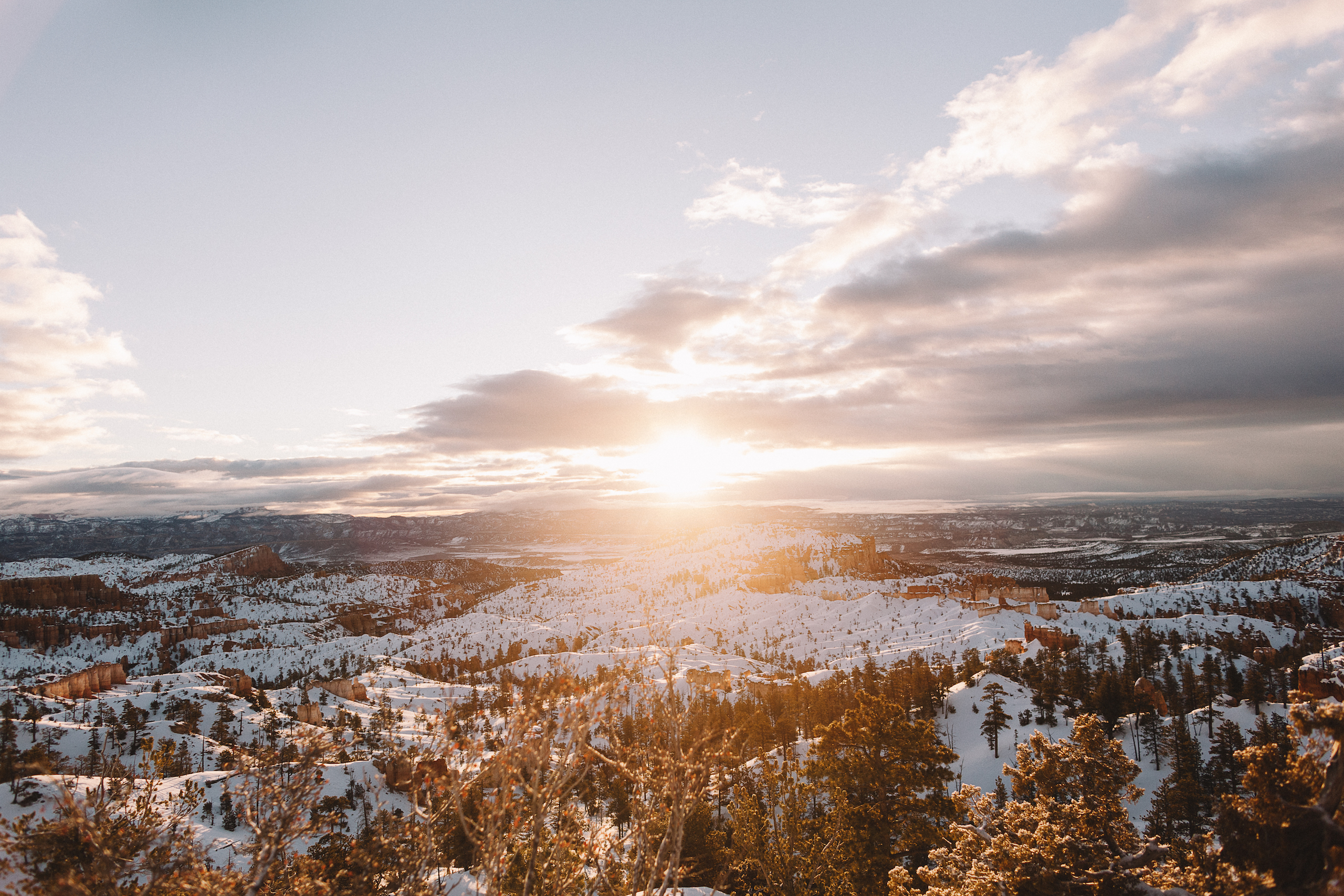 From the Desk of Cody Derrick | Stay Golden