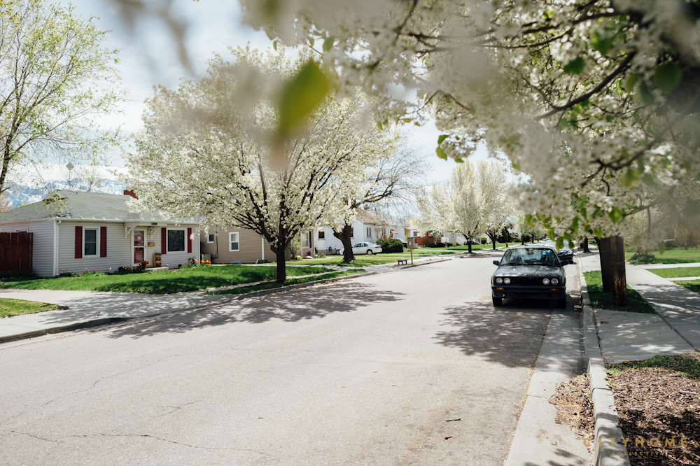 Midvale | cityhomeCOLLECTIVE