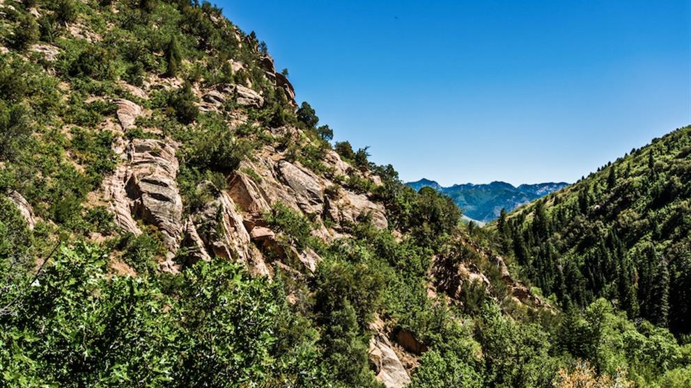 Emigration Canyon | cityhomeCOLLECTIVE