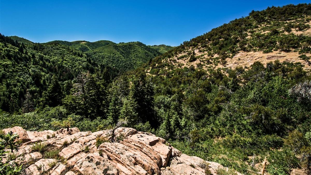 Emigration Canyon | cityhomeCOLLECTIVE