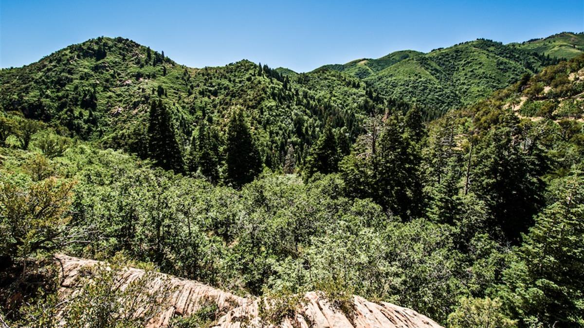 Emigration Canyon | cityhomeCOLLECTIVE