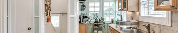 15th & 15th | A Shannon Star