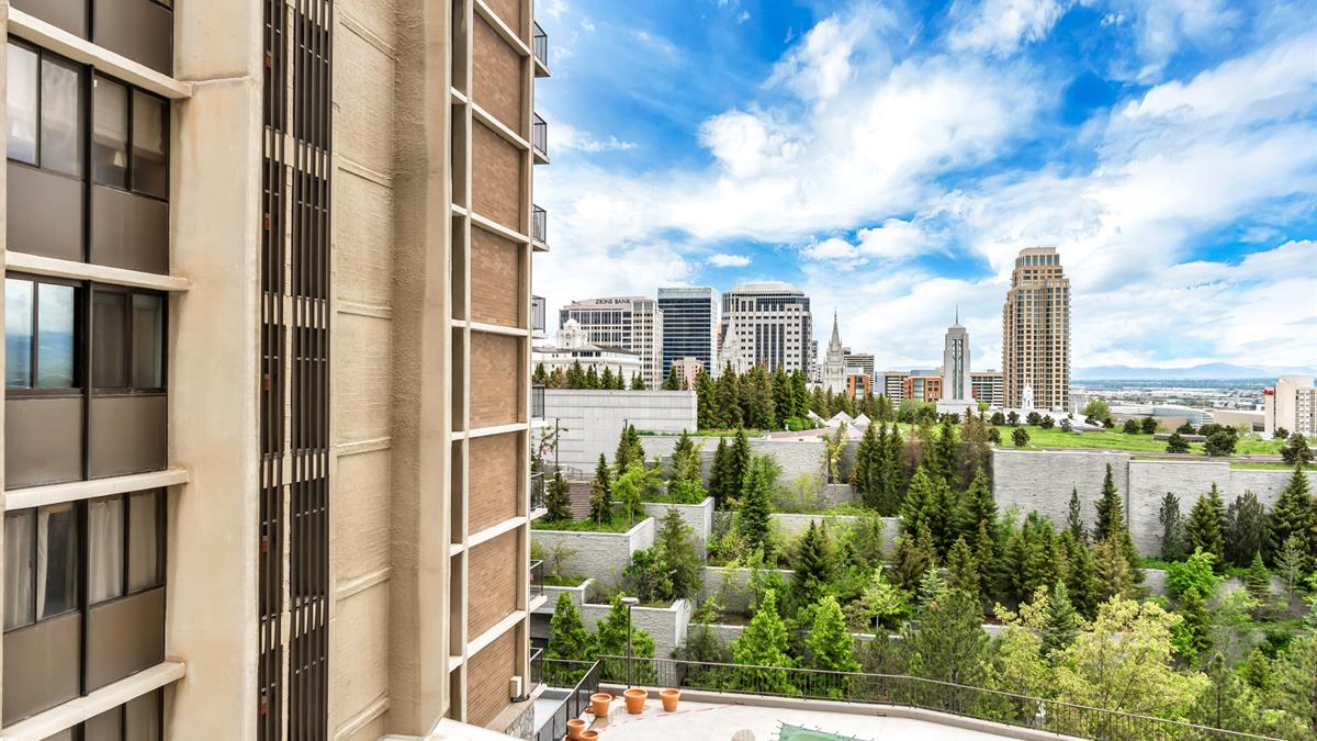 Vine Street | Capitol Gains