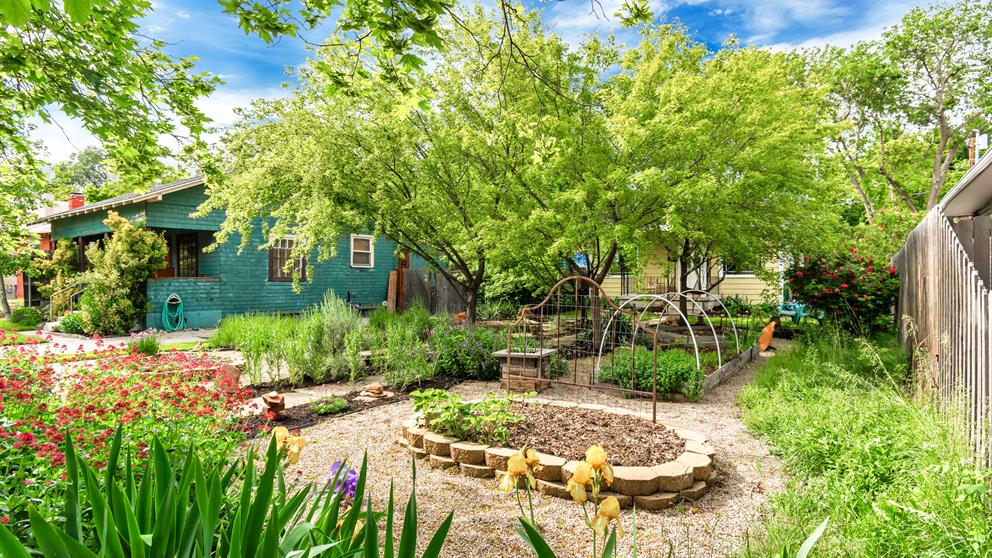 Liberty Wells | Garden of Edith