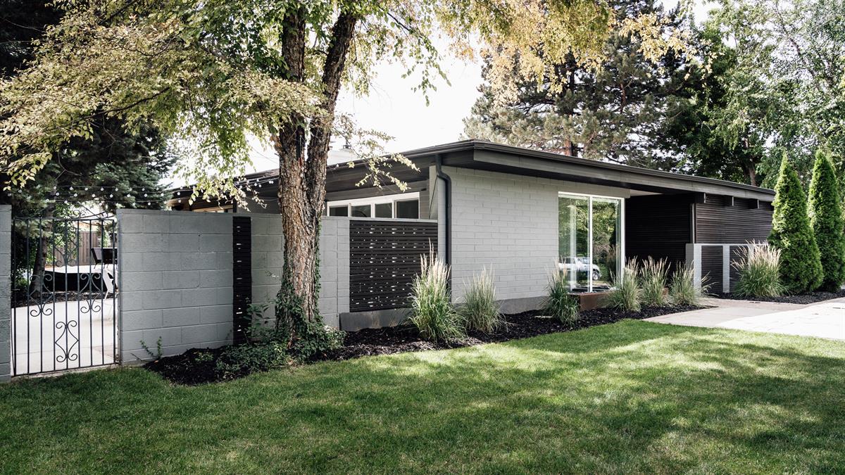 Juniper Way | Put Down Roots