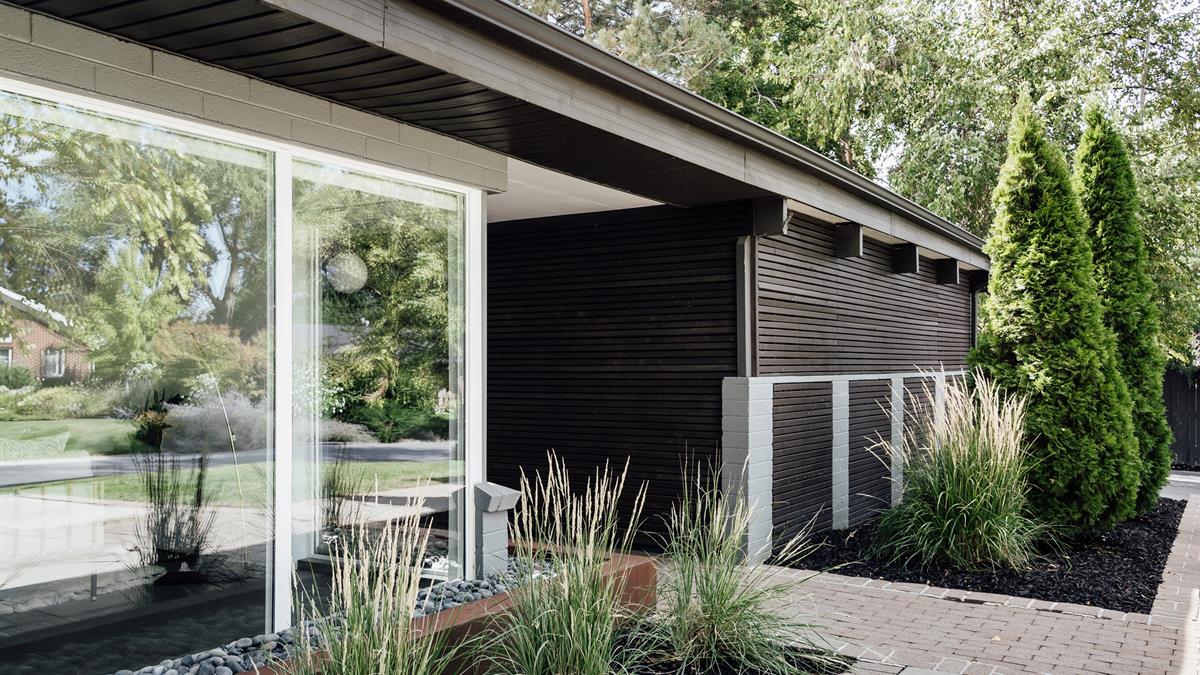 Juniper Way | Put Down Roots