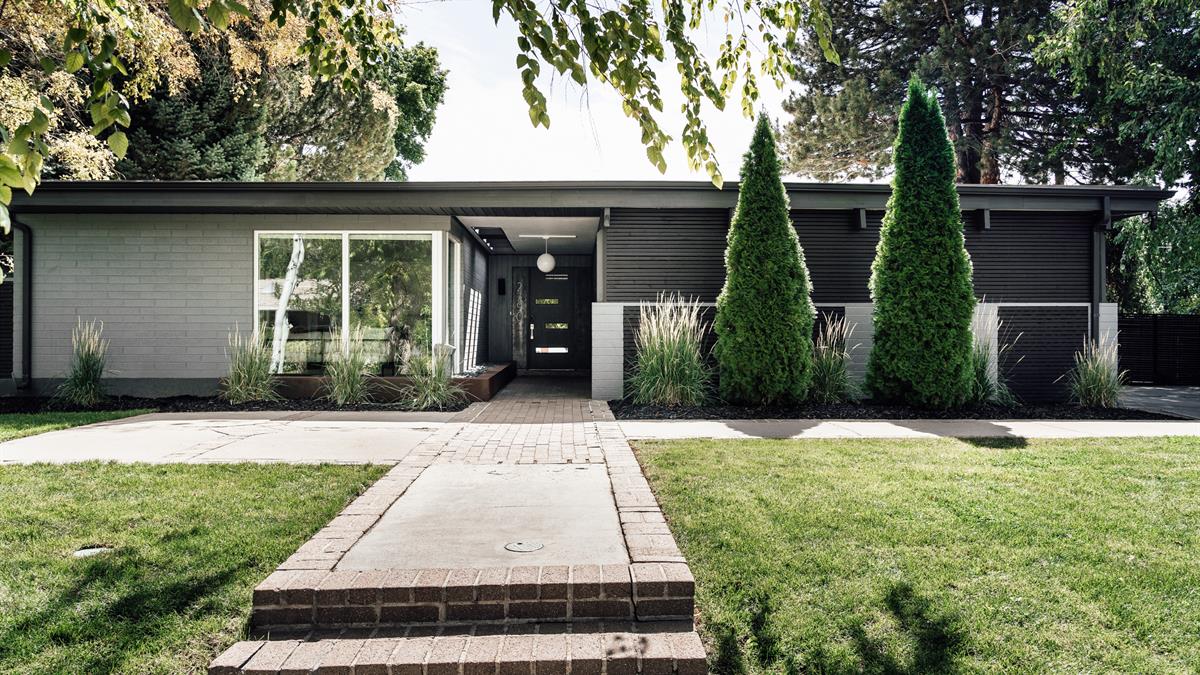 Juniper Way | Put Down Roots