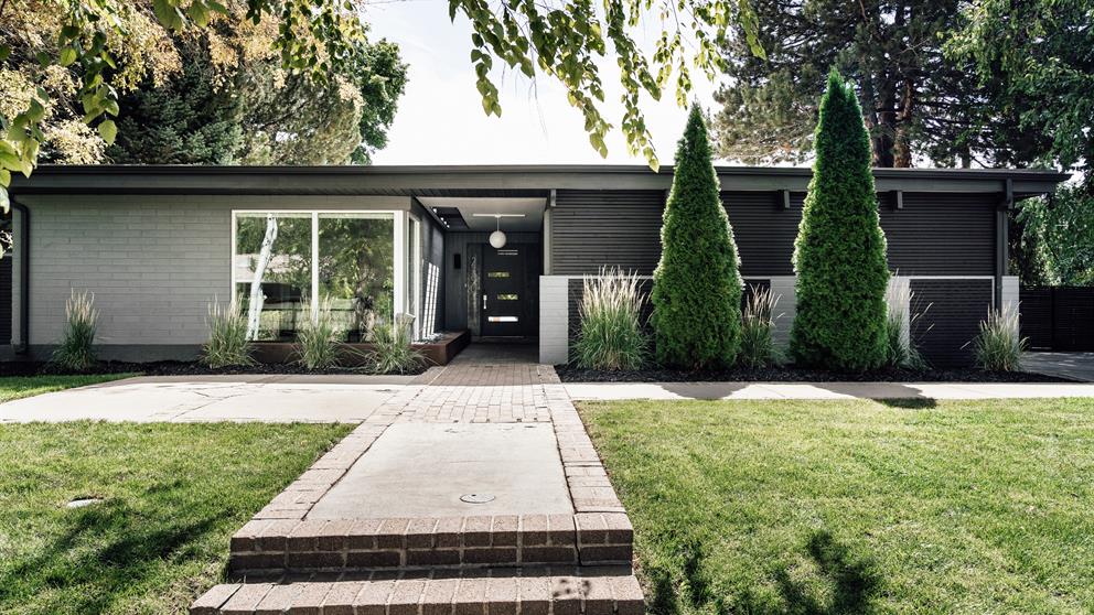 Juniper Way | Put Down Roots